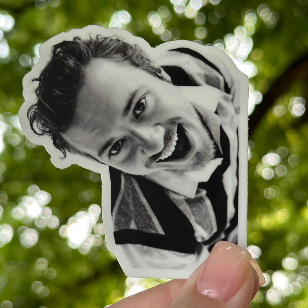 Joseph Quinn Vinyl Sticker - Etsy