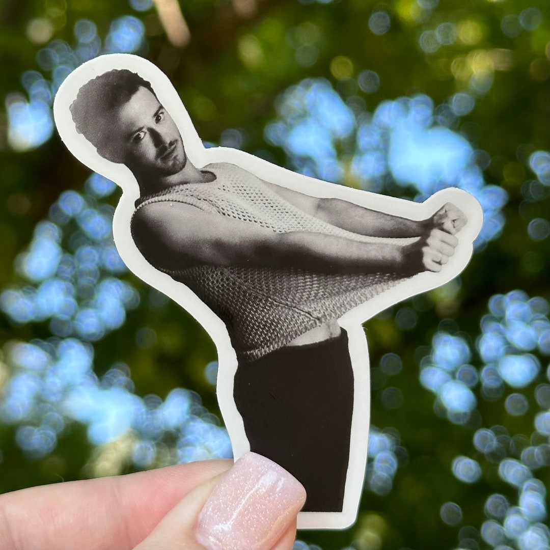 Joseph Quinn Vinyl Sticker - Etsy