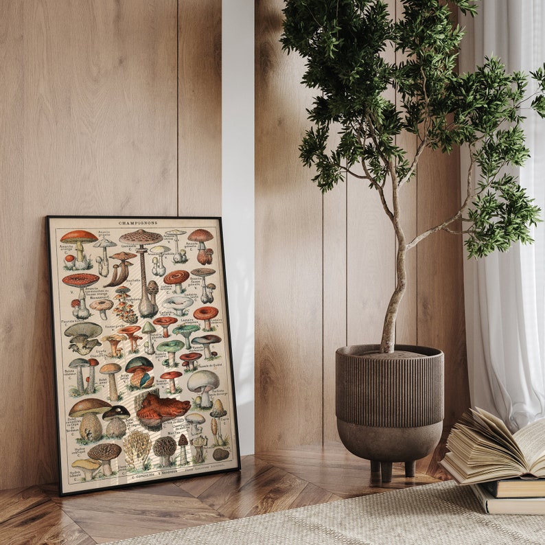 Vintage Mushroom Chart Poster Wall Art Birthday Gift - Etsy
