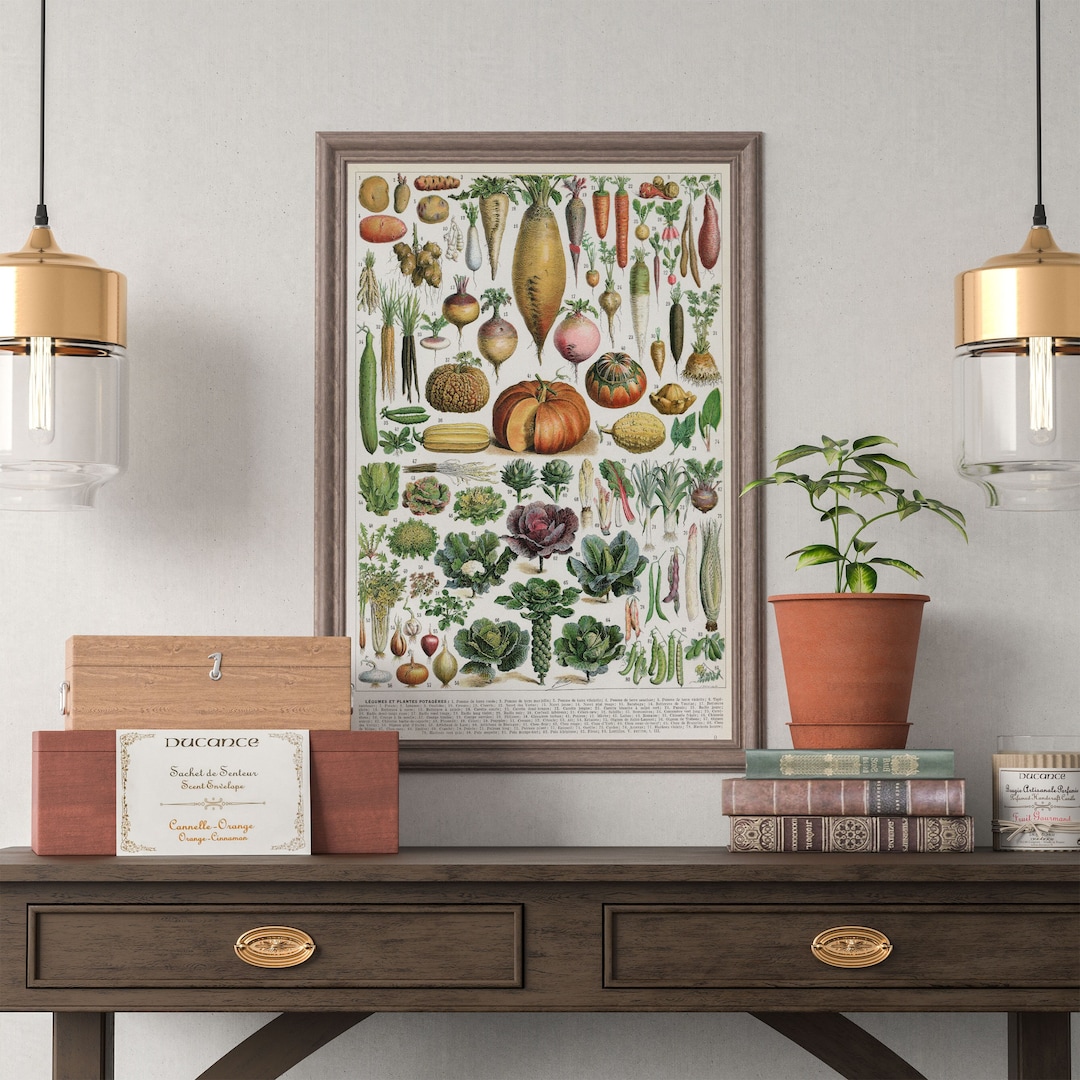 Vintage Vegetable Poster, Wall Art, Birthday Gift, Minimalist Home ...