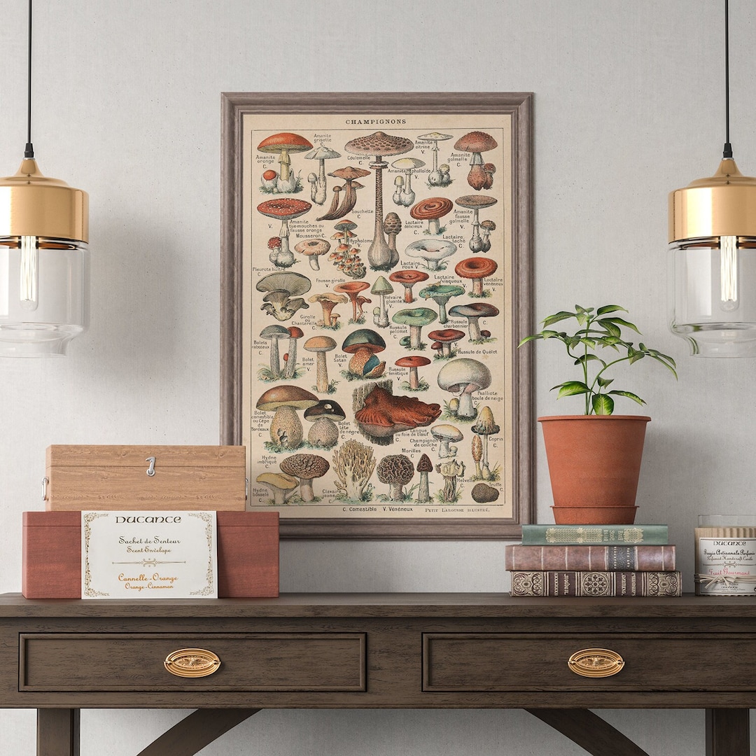 Vintage Mushroom Chart Poster, Wall Art, Birthday Gift, Larousse ...