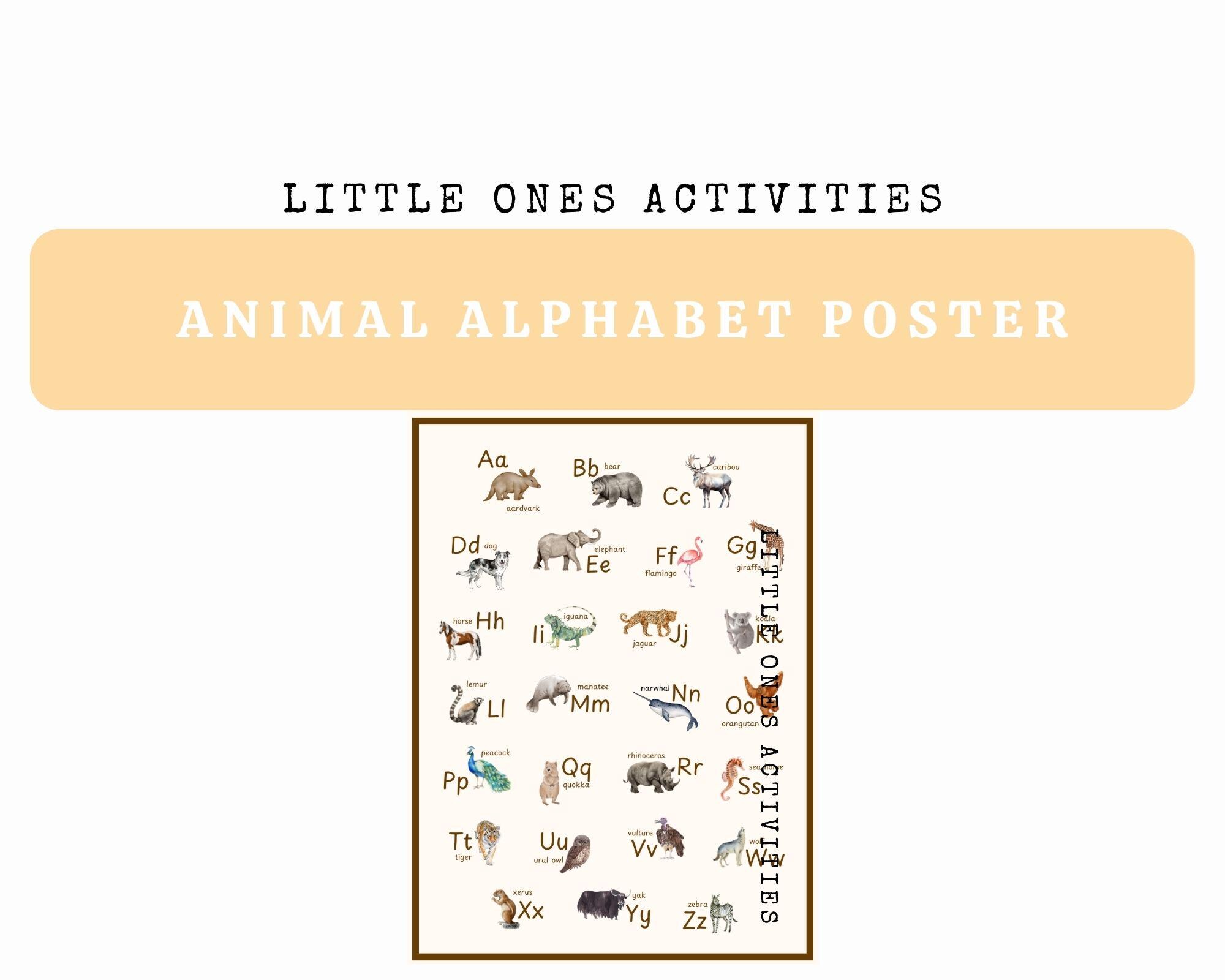 Animal Alphabet Poster A-Z - Nursery - Toddler - Bedroom & Playroom ...