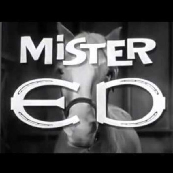 Mr Ed - Etsy
