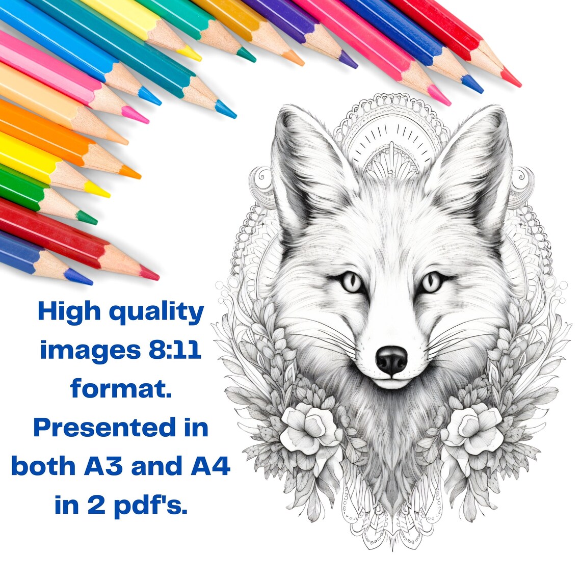 Beautiful Animal Mandala Colouring Pages, Hours of Mindful Relaxation ...