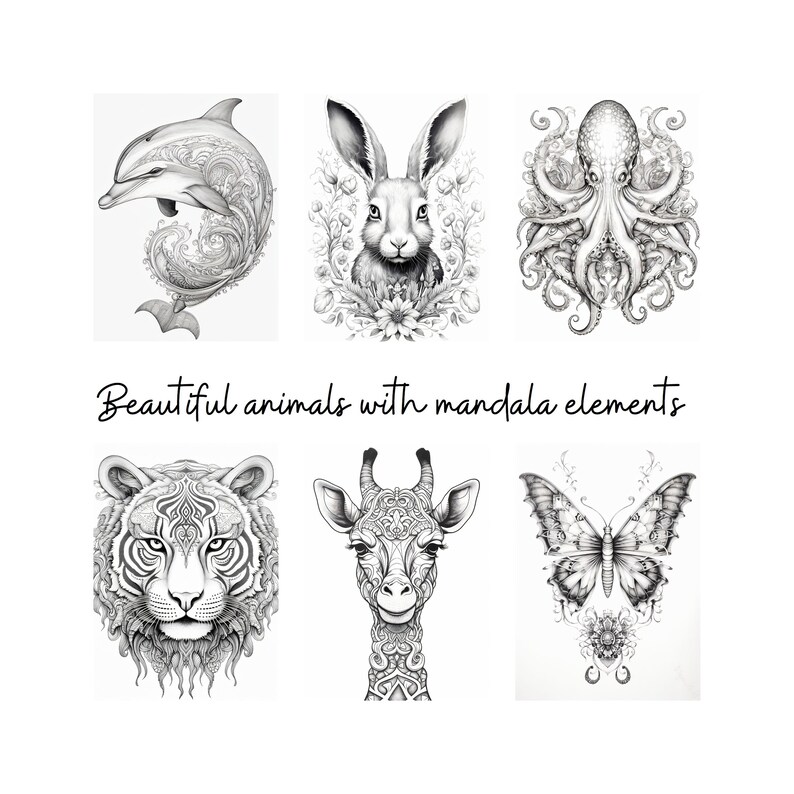 Beautiful Animal Mandala Colouring Pages, Hours of Mindful Relaxation ...