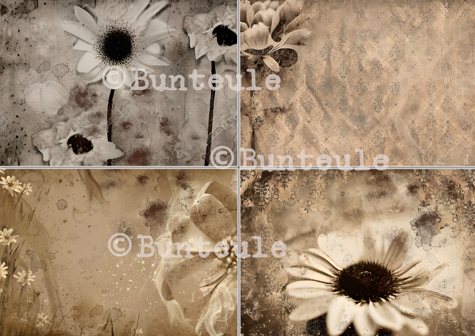 SEPIA FLOWERS - Background Papers, Postcards, Ephemera, Printable ...