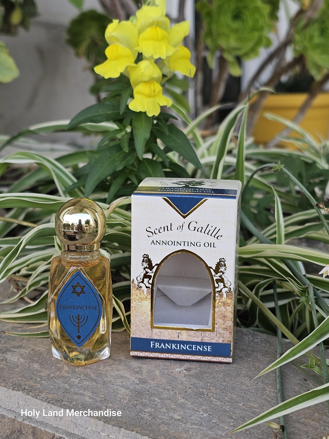 Frankincense Anointing Oil: Holy Land Blessing, Scent of Galilee - Etsy