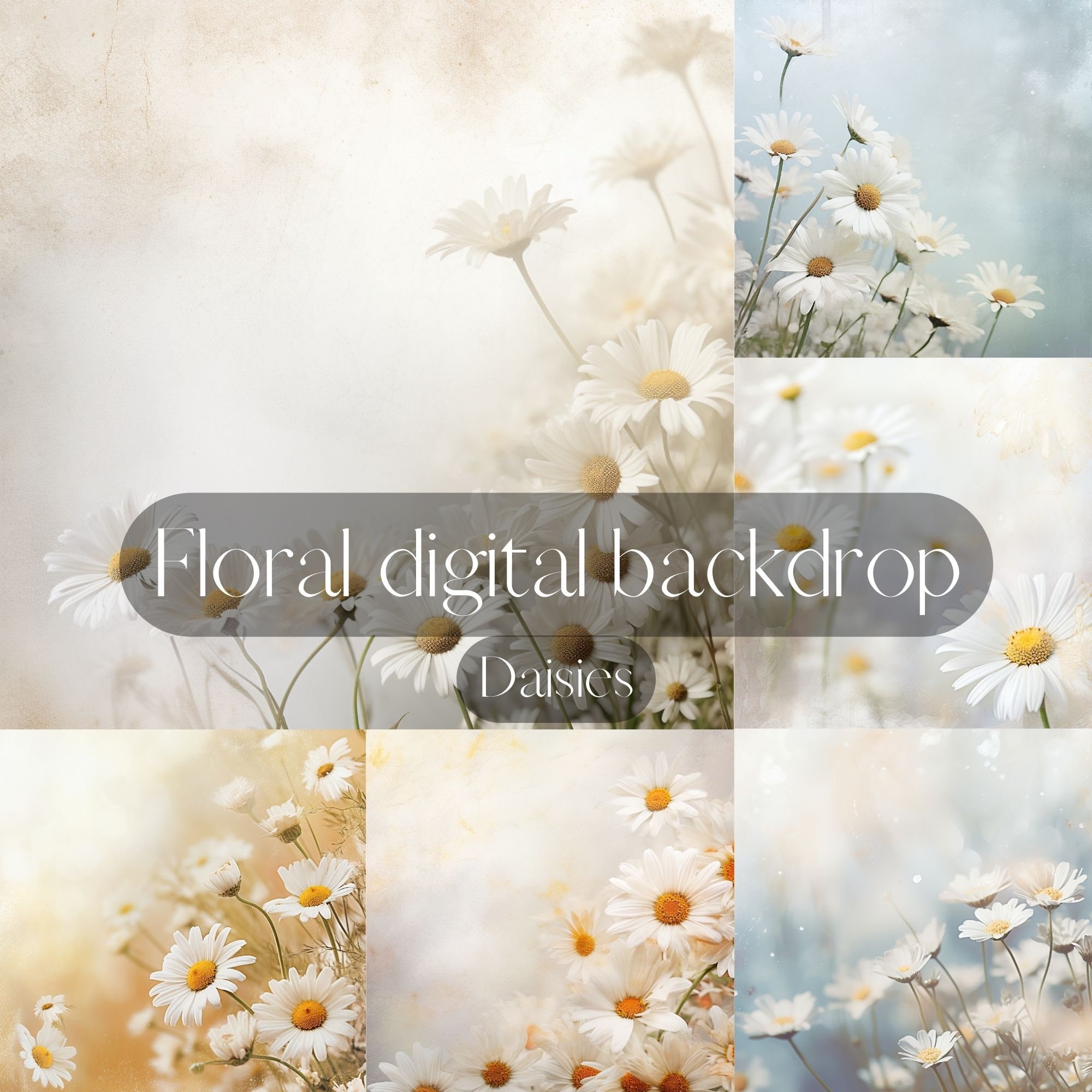 Daisies Floral Digital Backdrop for Maternity Photography, Photoshop ...
