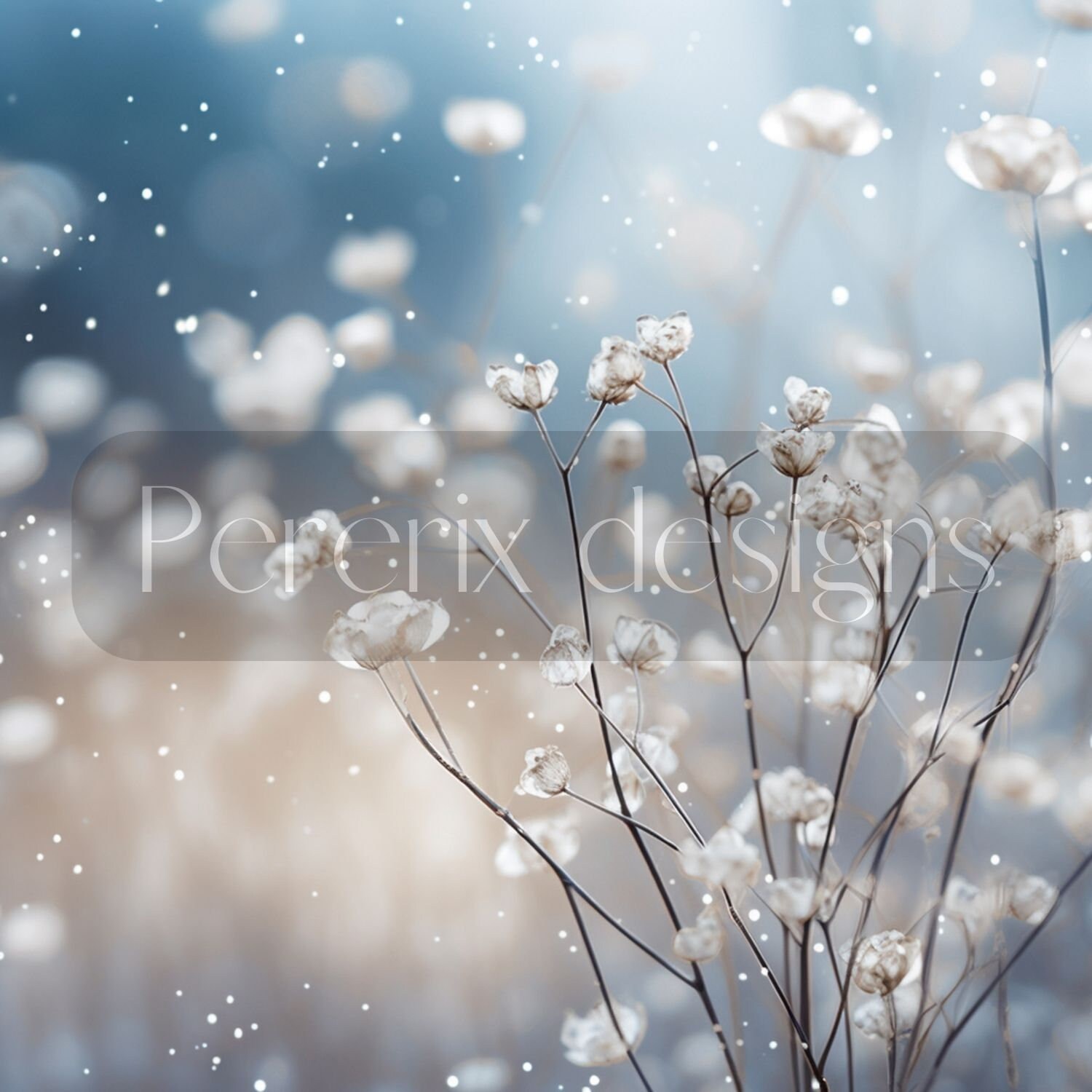 Bokeh Backdrops for Photography, Overlays for Use in Photoshop ...