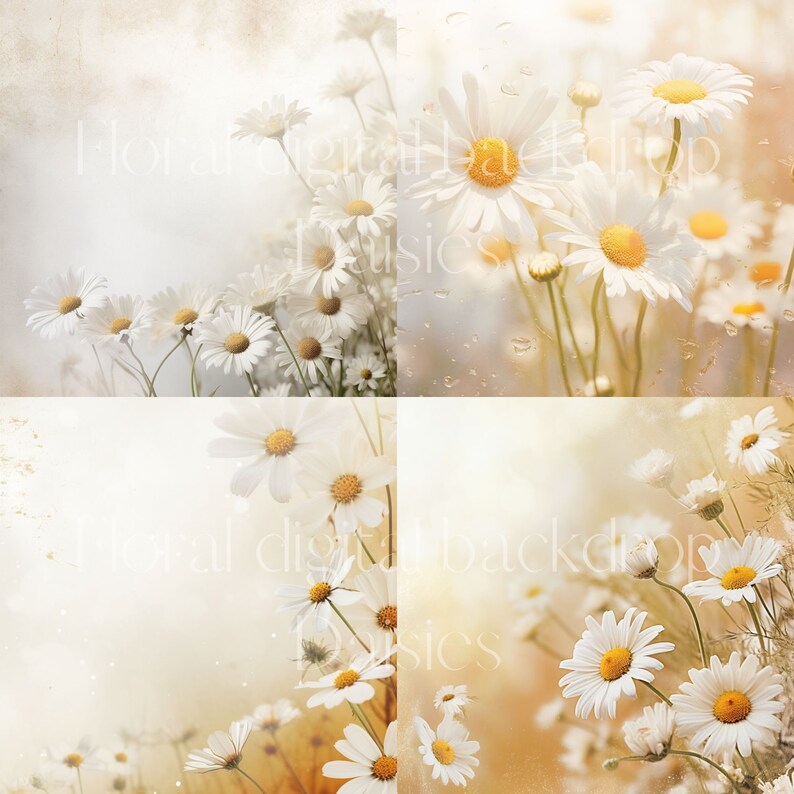Daisies Floral Digital Backdrop for Maternity Photography, Photoshop ...