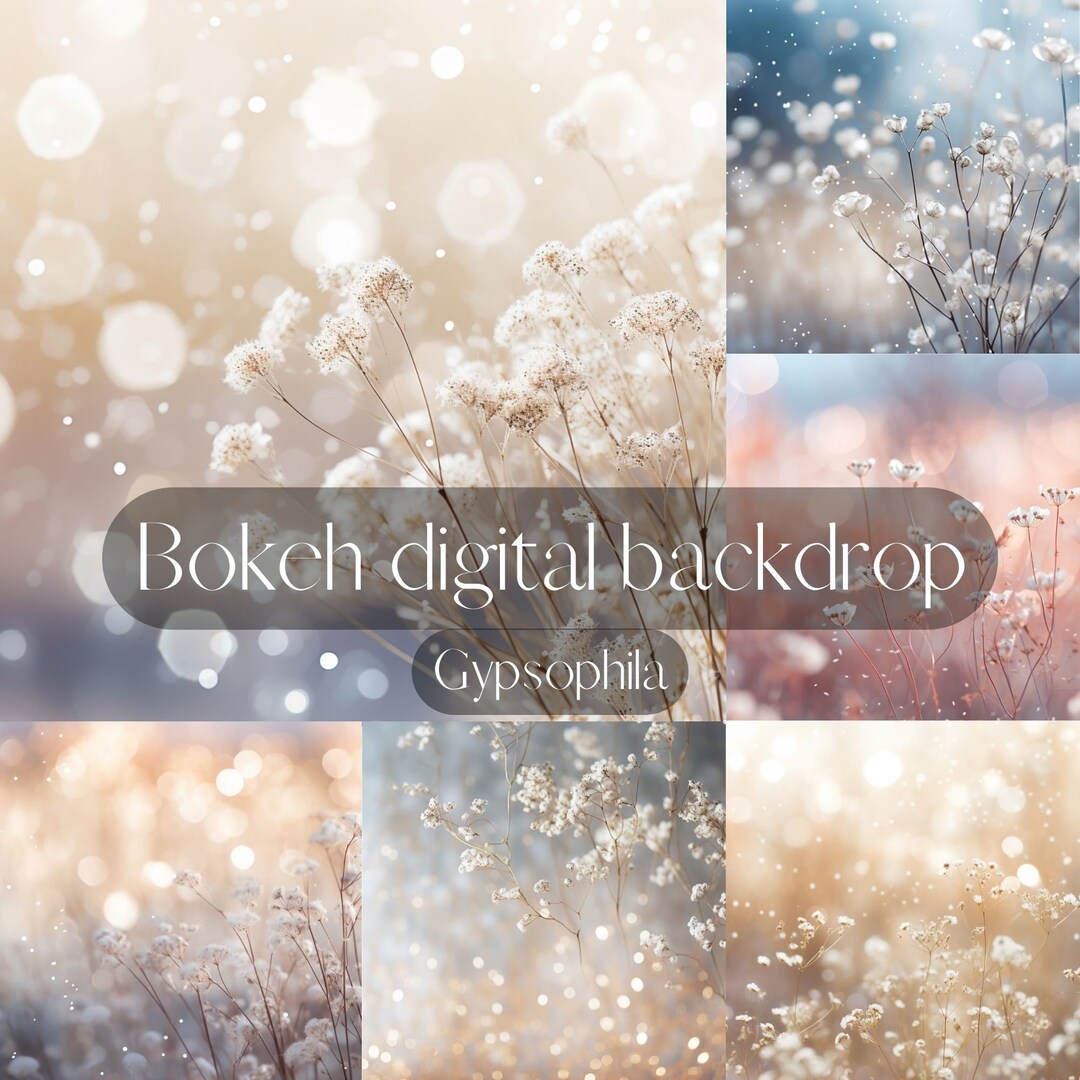 Bokeh Backdrops for Photography, Overlays for Use in Photoshop ...