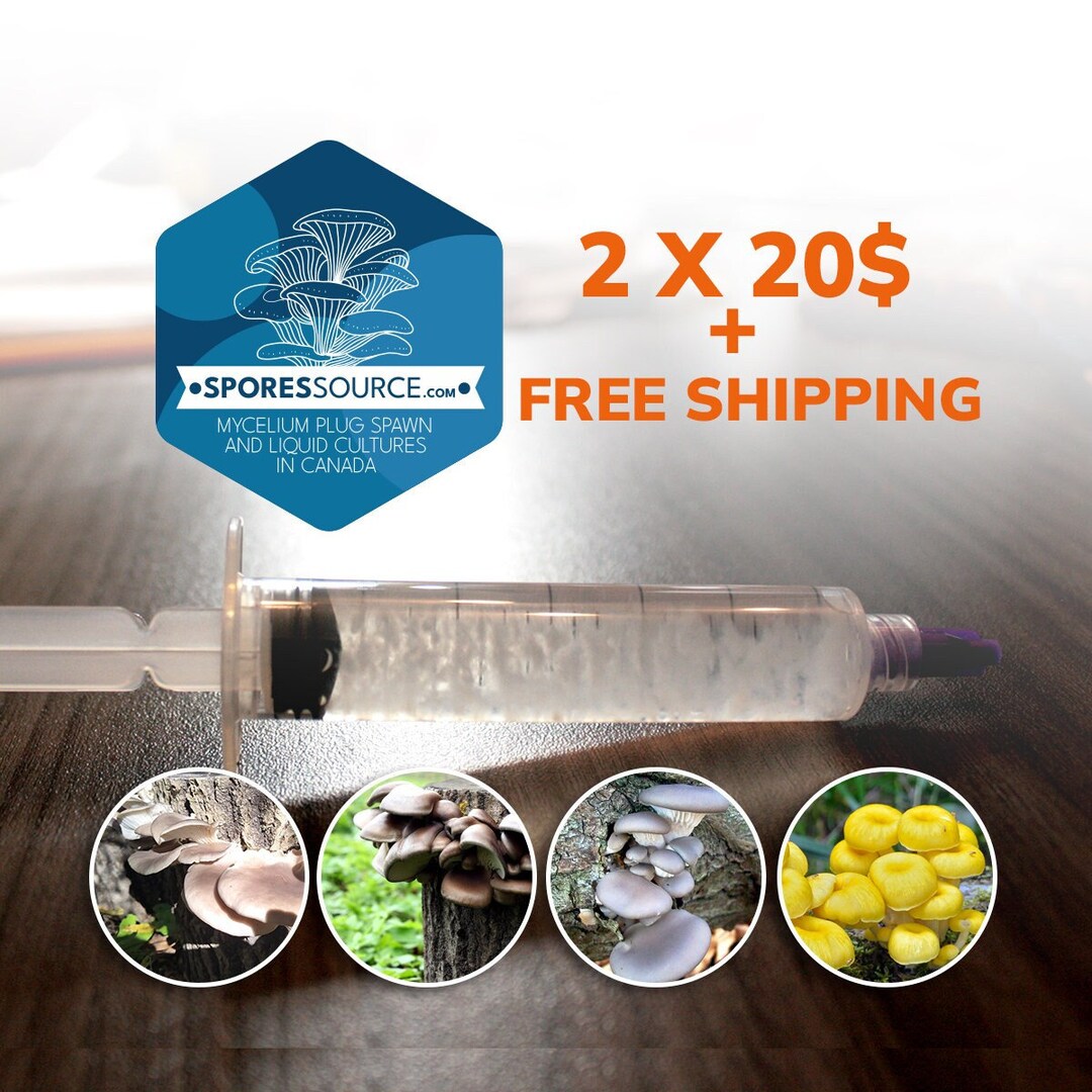 Mushroom Mycelium Liquid Cultures LC 10ML - Etsy Canada
