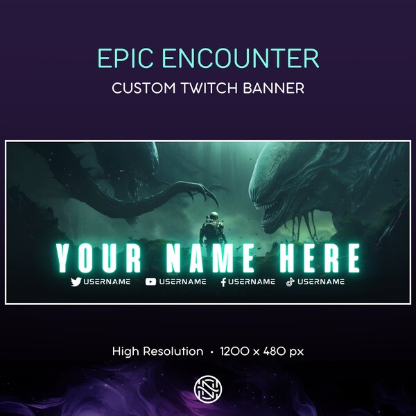 Streamer Banner - Etsy