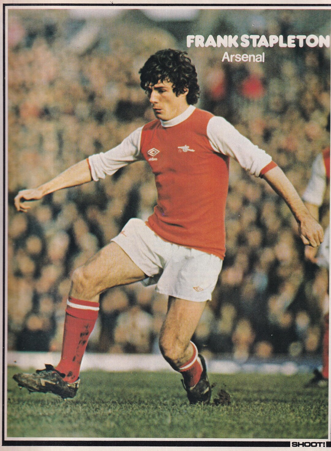 Original Vintage Mini Poster / Magazine Clipping Frank Stapleton ...