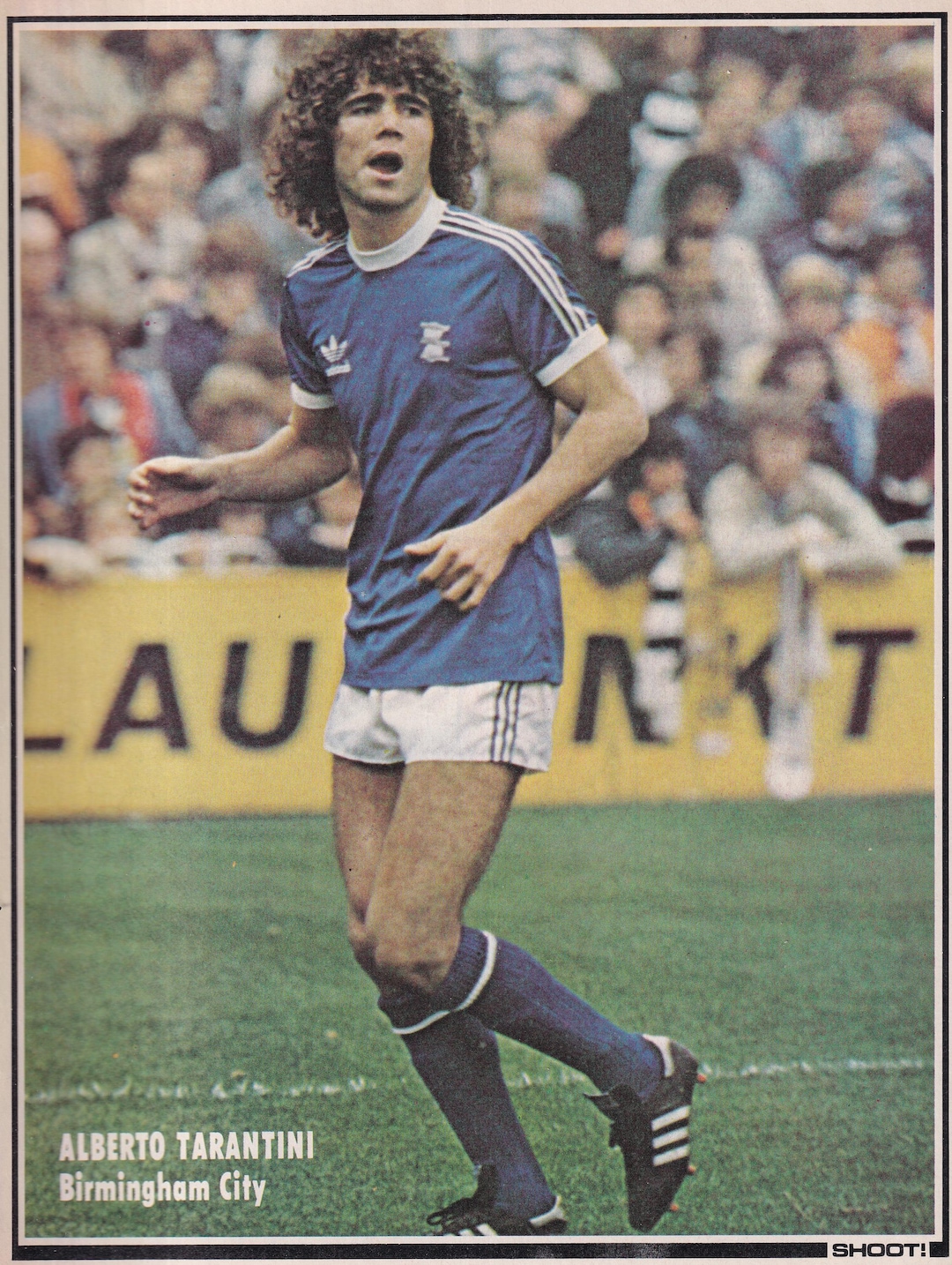 Original Vintage Mini Poster / Magazine Clipping Alberto Tarantini ...