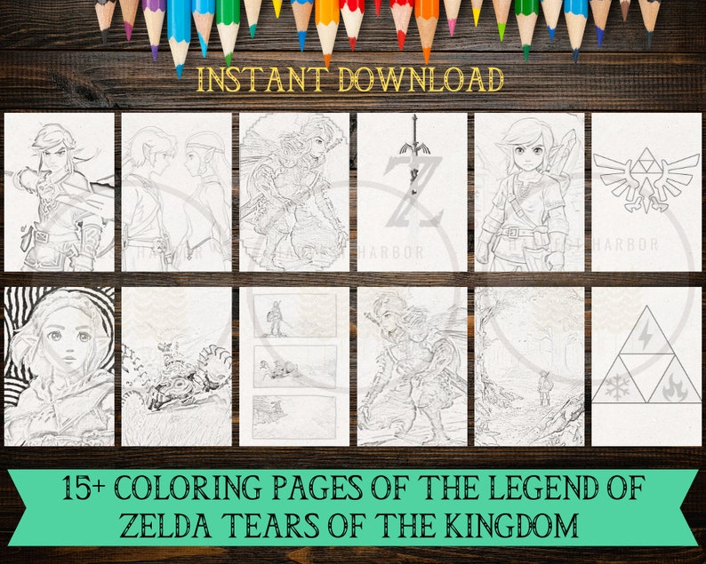 Fun Past Time Legend of Zelda Tears of the Kingdom 15 Coloring Pages ...