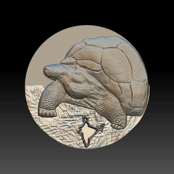3D Model Stl and Grayscale for Laser and CNC Milling Machines - Turtle ...
