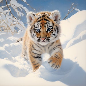 Snowy Paws, Tiger (design & Craft Material 30 PNG Pack), Design for ...
