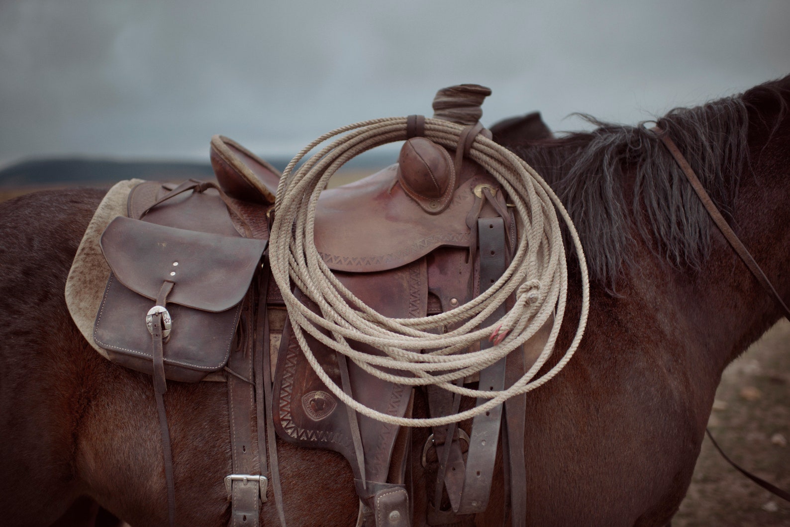 Cowboy's Rope and Saddle Photographic Print - Etsy