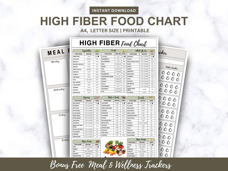 High Fiber Food Chart, Nutrition Poster, Diabetic Food List, Gut Health ...