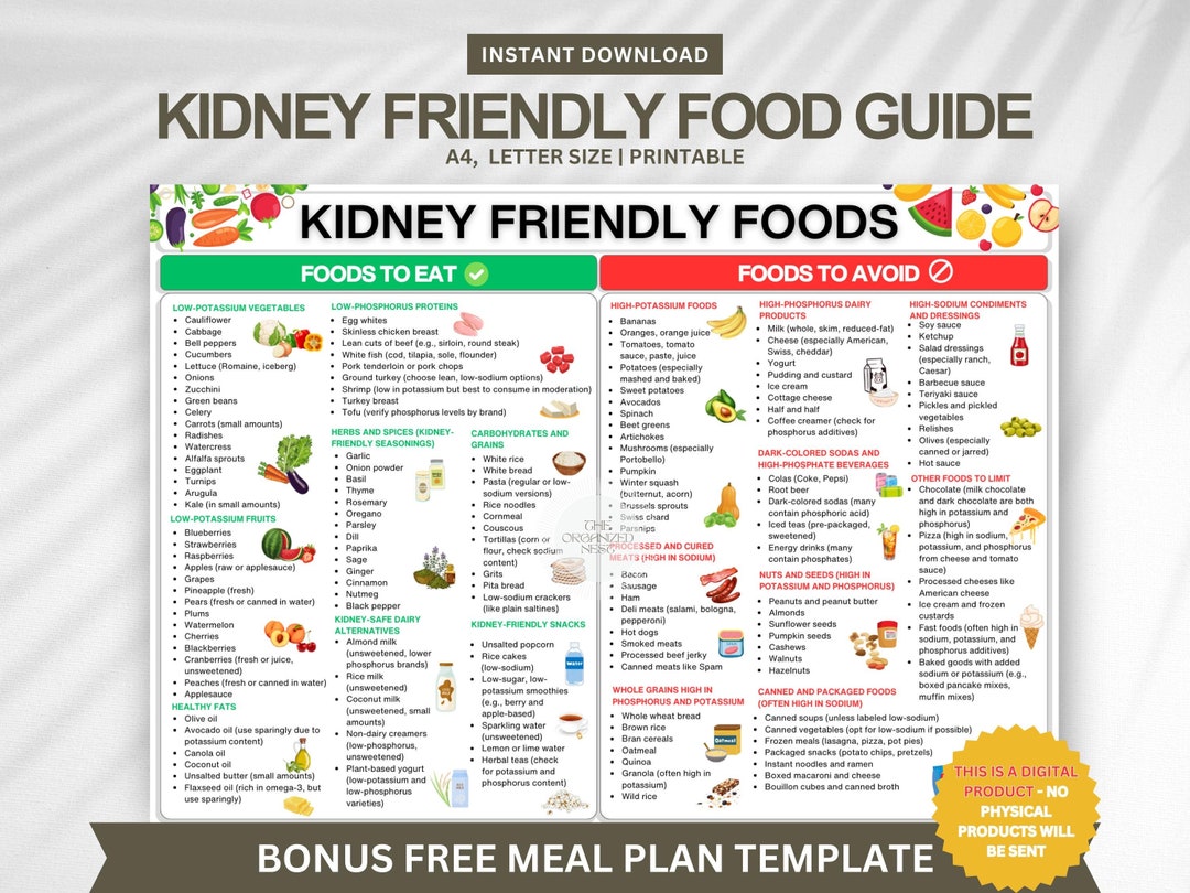 Kidney Friendly Food Guide: Renal Diet, Low Potassium (digital Download ...
