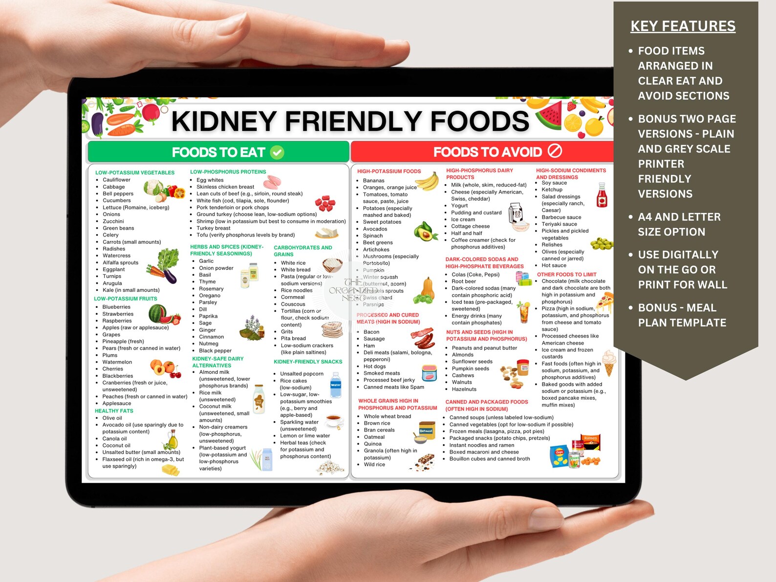 Kidney Friendly Food Guide: Renal Diet, Low Potassium (digital Download ...