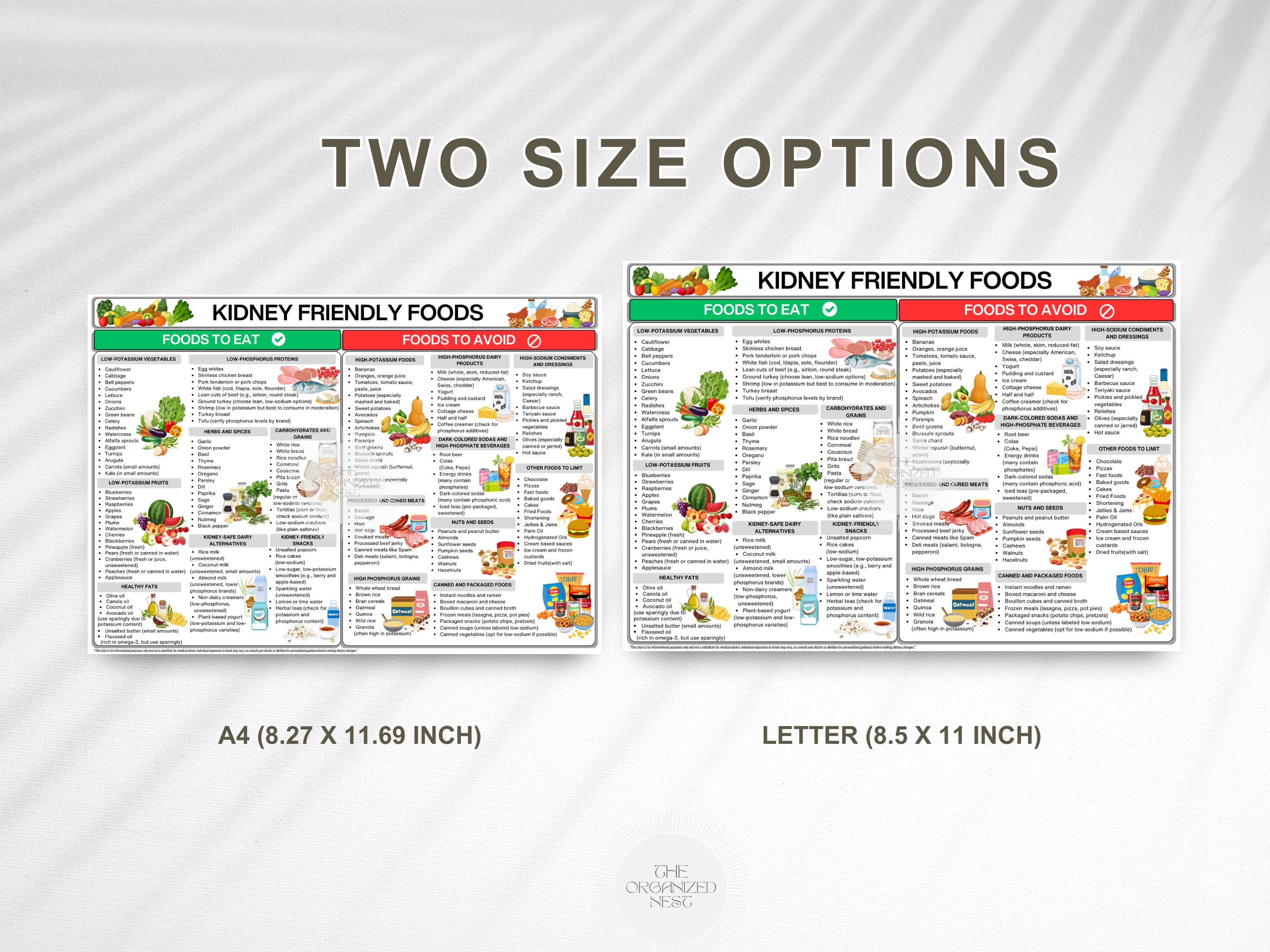 Kidney Friendly Food Chart: Renal Diet Guide + Meal Plan (digital ...