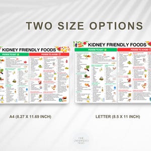 Kidney Friendly Food Guide: Renal Diet, Low Potassium (digital Download ...