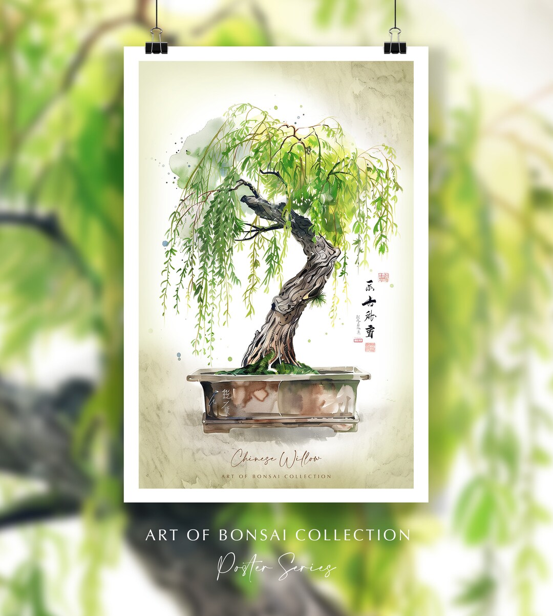 Bonsai Tree Poster - Chinese Willow Bonsai Tree, Japanese Art, Bonsai ...