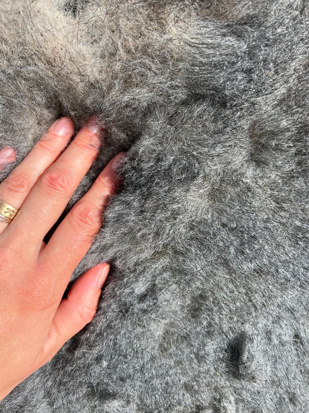 Premium Unwashed Nordic Sheep Wool for DIY Crafts - Raw, Sustainable ...