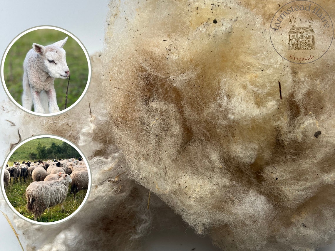 Natural Raw Sheep Wool - Unwashed Nordic Sheep Wool for DIY Projects - Etsy