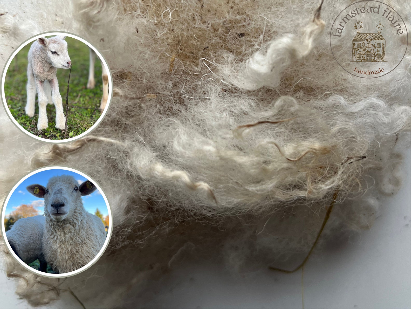 Natural Raw Sheep Wool - Unwashed Nordic Sheep Wool for DIY Projects - Etsy