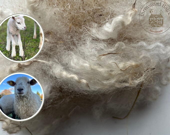 Natural Raw Sheep Wool - Unwashed Nordic Sheep Wool for DIY Projects - Etsy