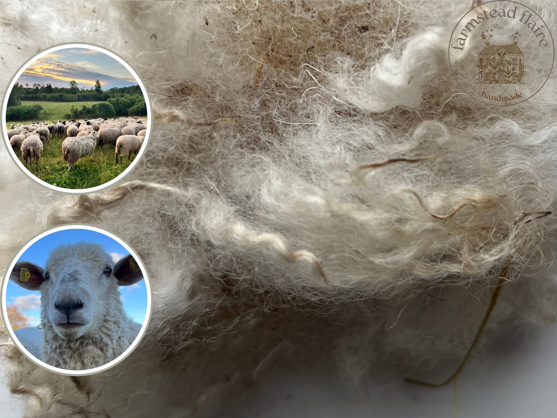 Natural Raw Sheep Wool - Unwashed Nordic Sheep Wool for DIY Projects - Etsy