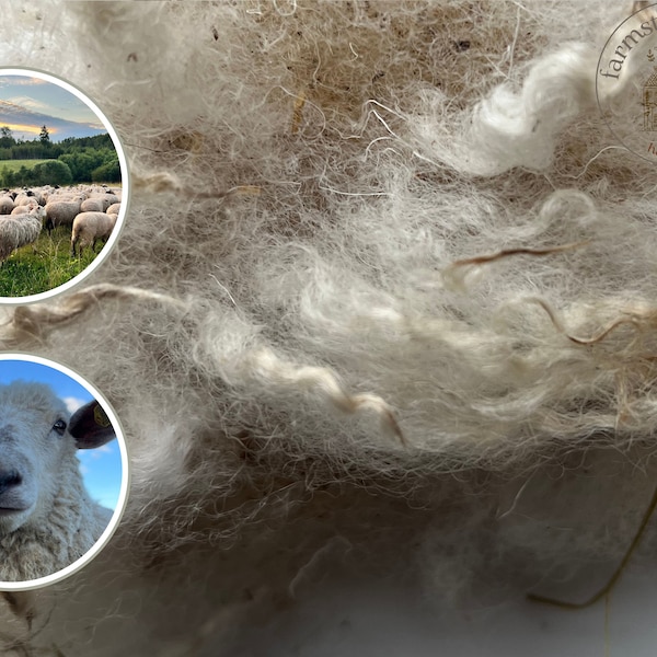 Raw Wool - Etsy