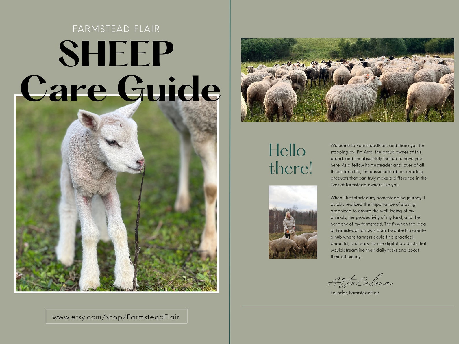 Sheep Care Guide - Complete Sheep Care Guide - PDF for Happy & Healthy ...