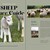 Sheep Care Guide - Complete Sheep Care Guide - PDF for Happy & Healthy ...