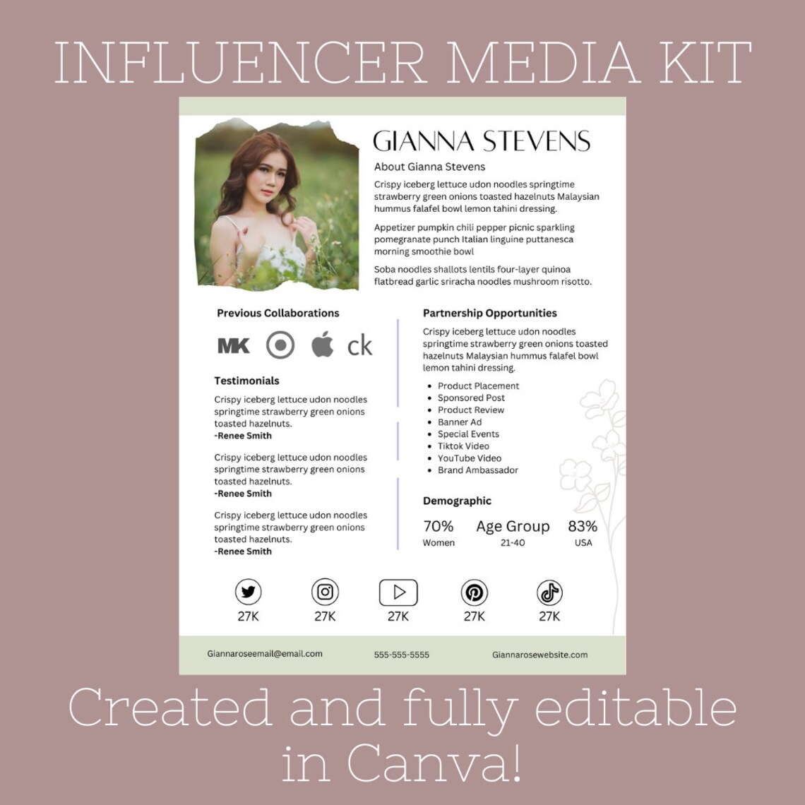 Influencer Media Kit/social Media Influencer Kit/canva Media Template ...