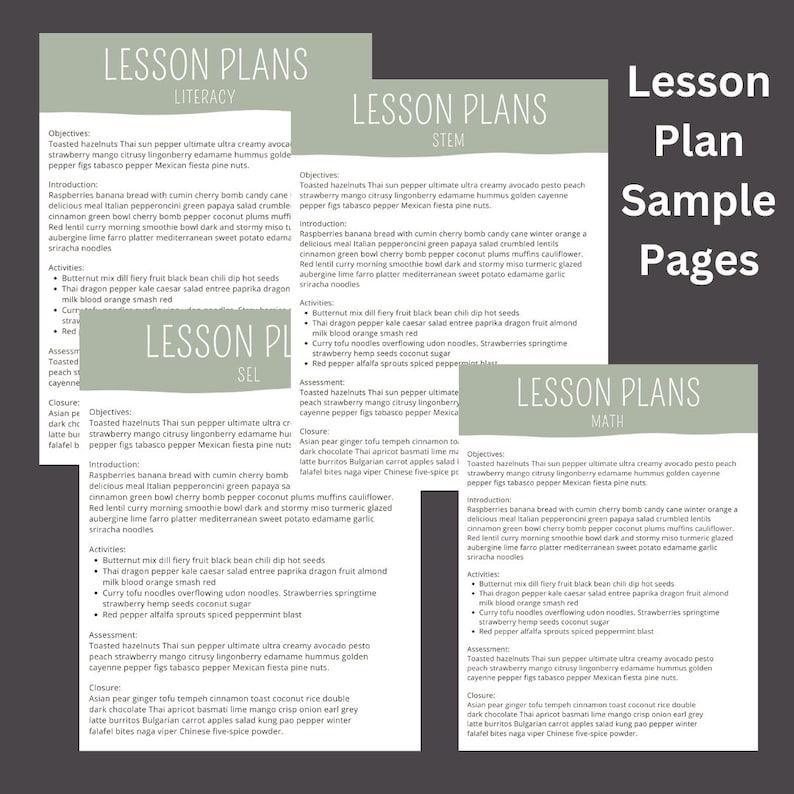 Student Teacher Portfolio Template/new Teacher/education Major/teacher ...
