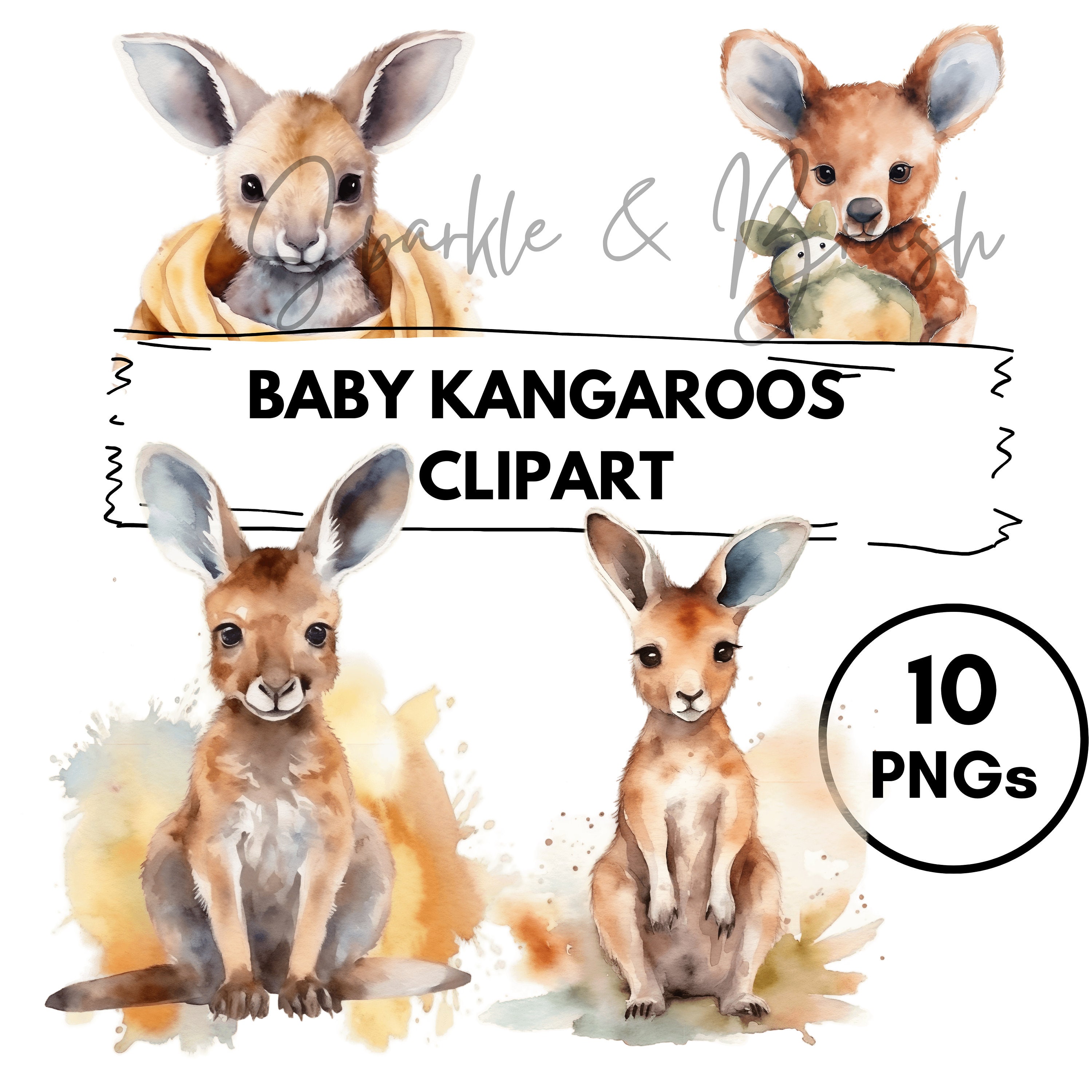 Baby Kangaroos Clipart Cute Kangaroo Lovers Artwork Wild - Etsy