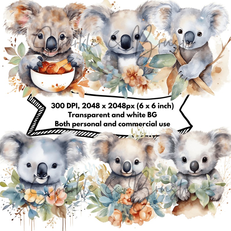 Koala Clipart Cute Koalas Artwork PNG Watercolor Clipart - Etsy Australia