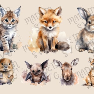 Watercolor Animal Clipart Bundle Png Baby Animal Clipart Svg Cute ...