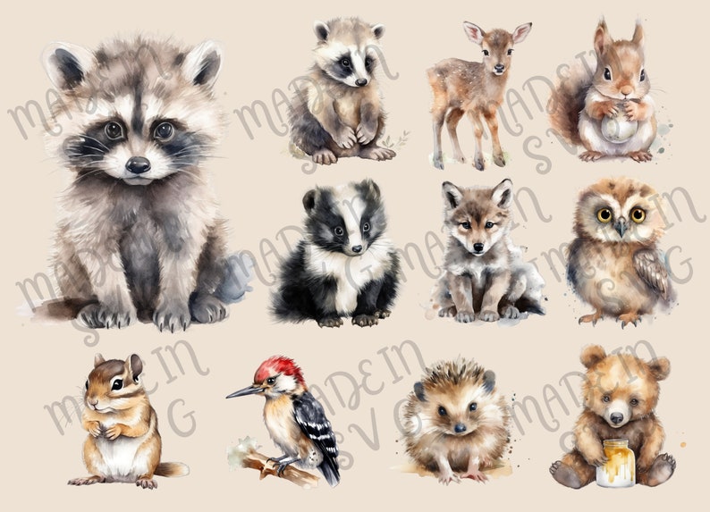 Watercolor Animal Clipart Bundle Png Baby Animal Clipart Svg Cute ...