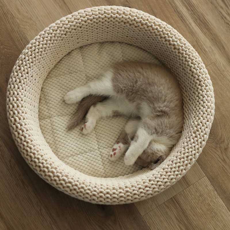 Unique Cat Bed - Etsy