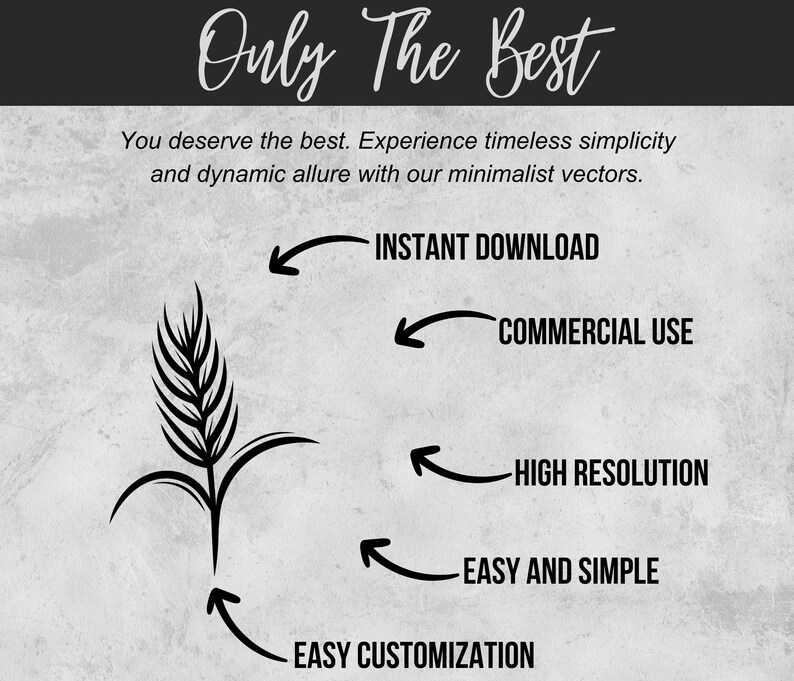 Wheat SVG Grain Svg WHEAT SVG Bundle Grain Svg Cut Wheat - Etsy