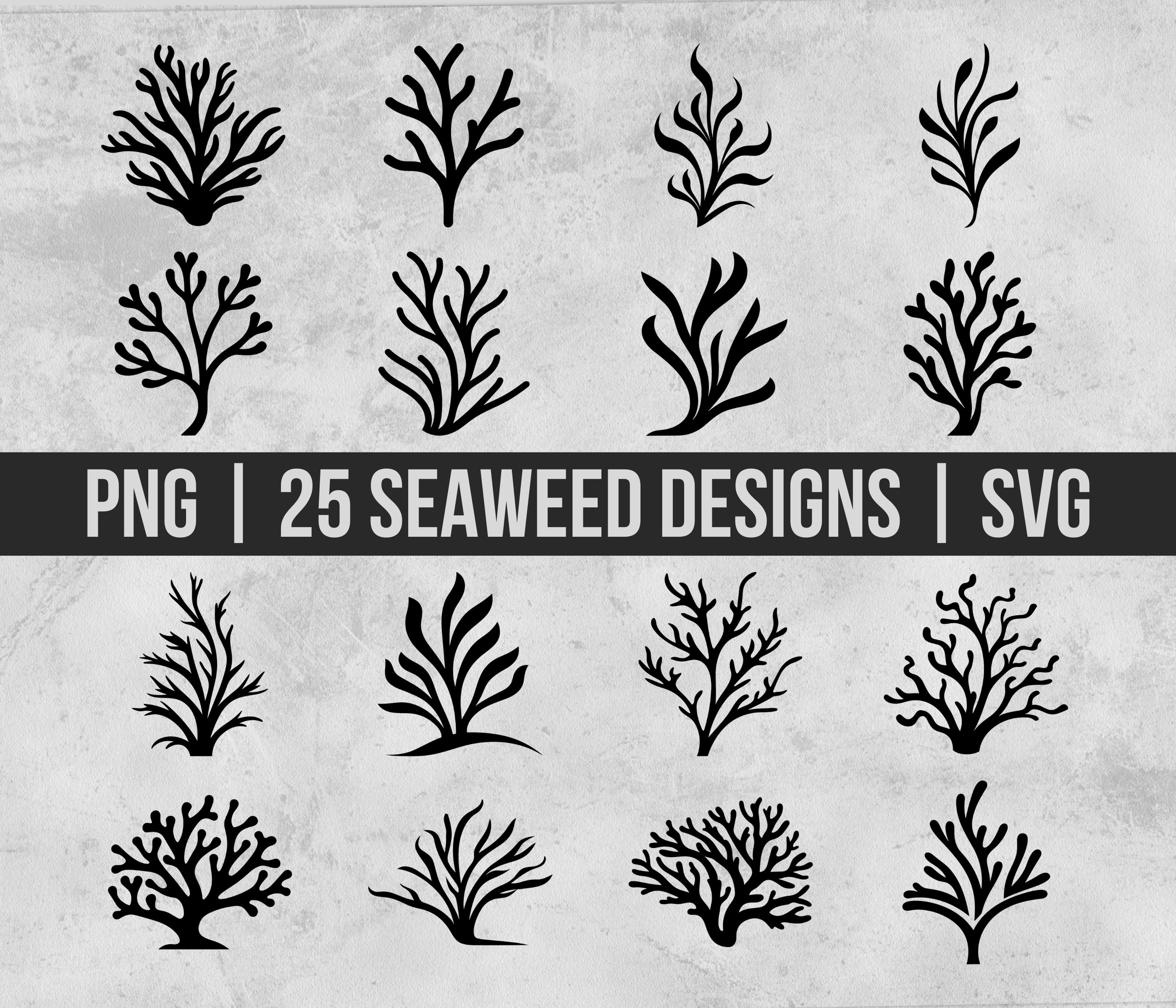 Coral SVG Bundle, Seaweed Svg, Seaweed Png, Coral Png,sea Plant Svg ...