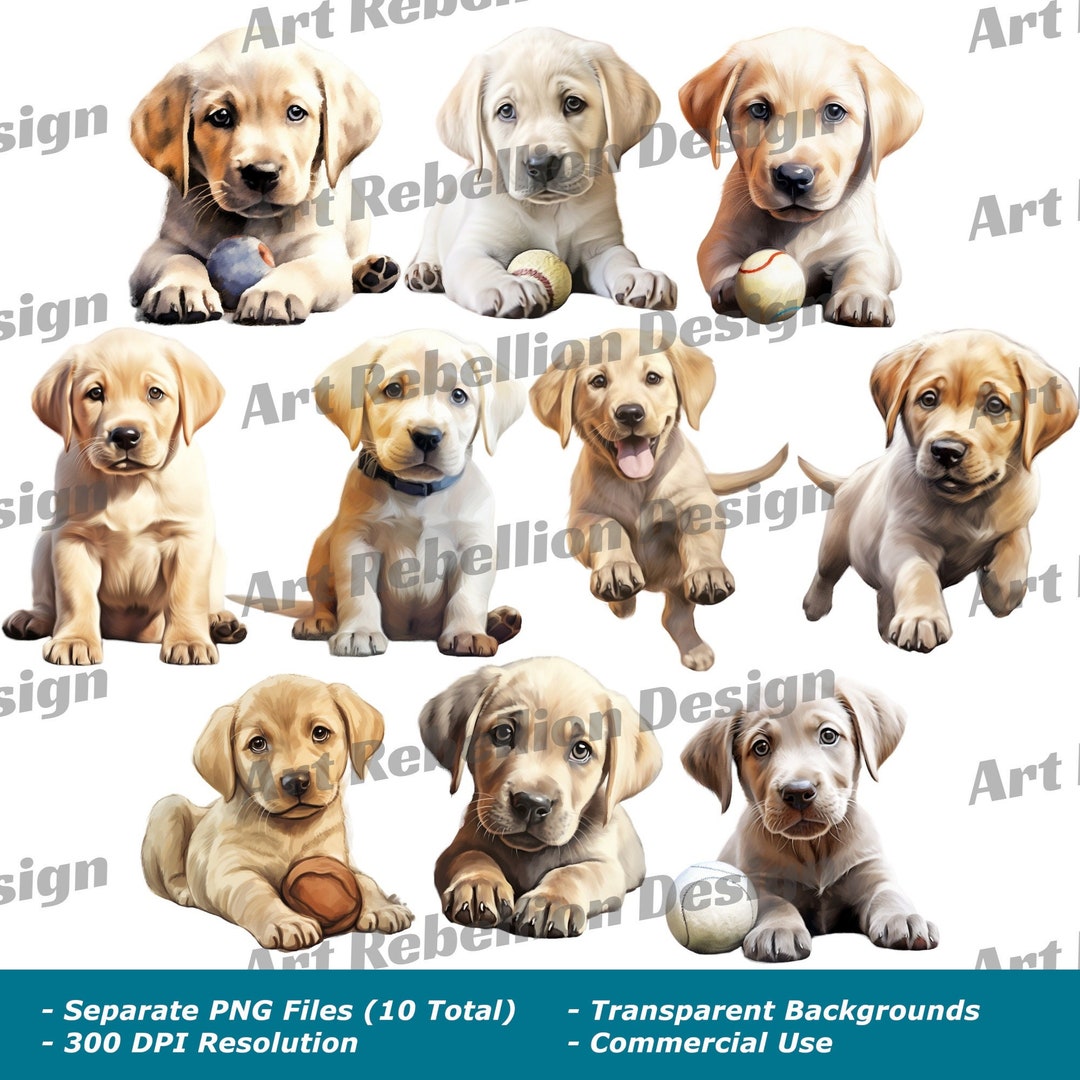 Yellow Labrador Puppy Clipart - Cute Puppy Dog Clip Art in PNG ...