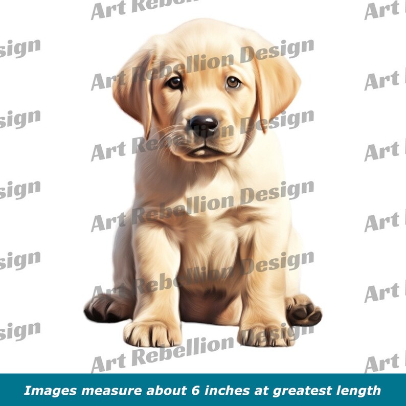 Yellow Labrador Puppy Clipart - Cute Puppy Dog Clip Art in PNG ...