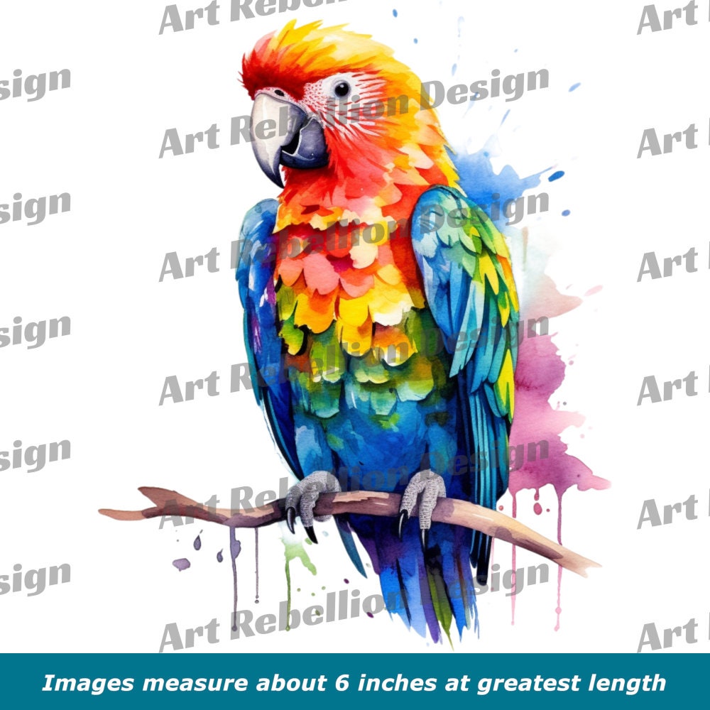 Watercolor Parrot Clipart - Tropical Bird Clip Art in PNG - Instant ...