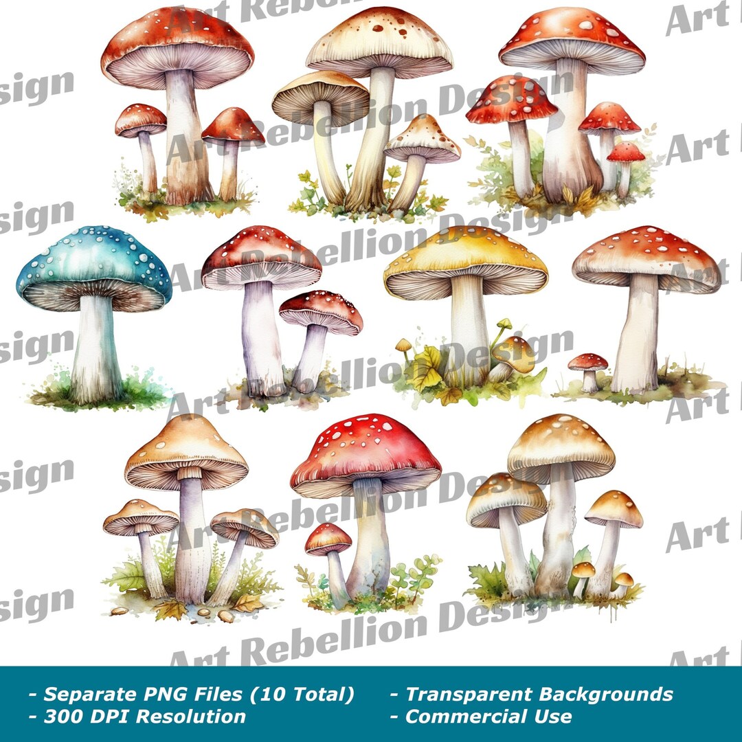 Watercolor Mushroom Clipart - Cute Mushroom Clip Art in PNG - Instant ...
